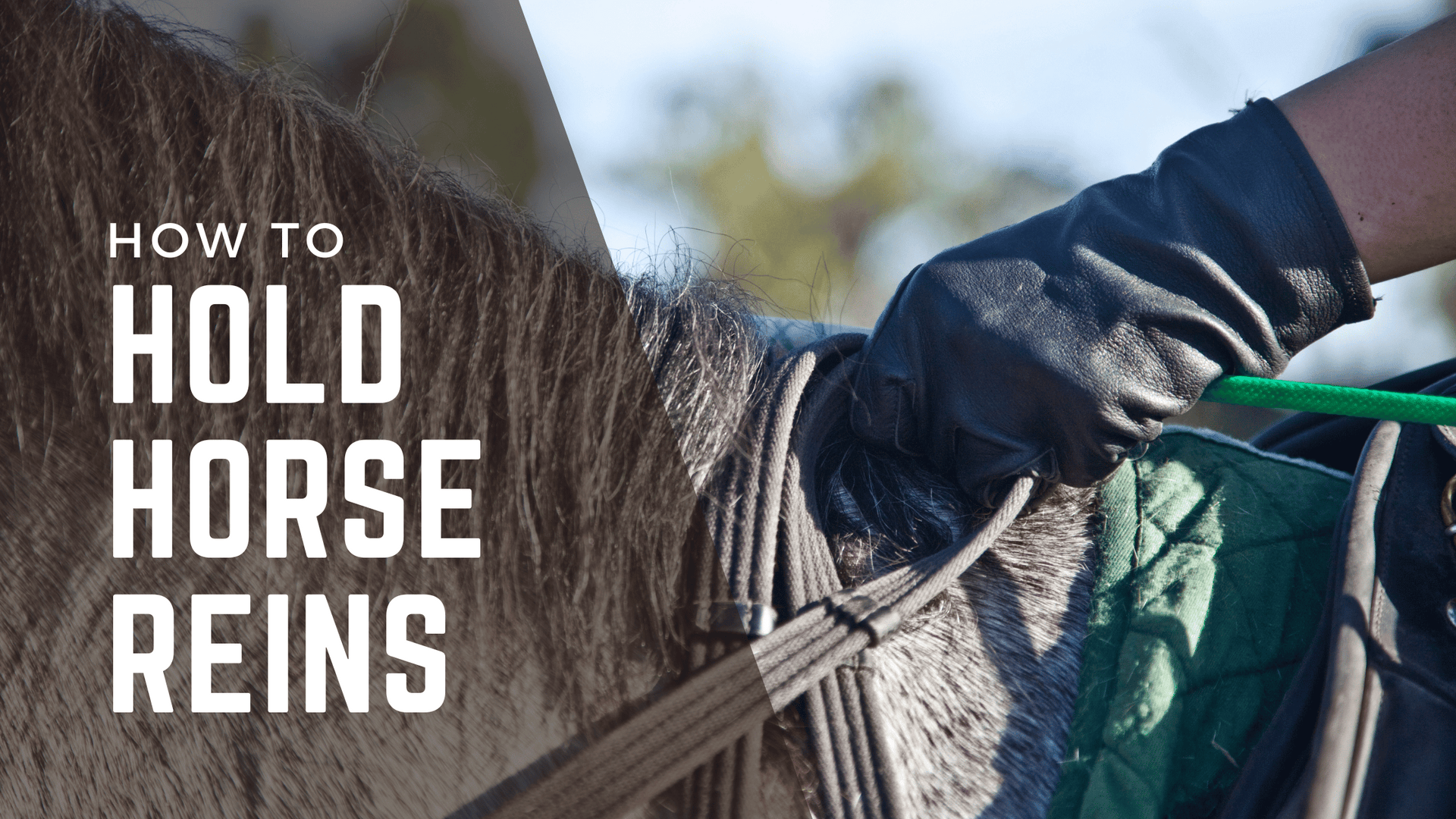 Horse Reins - TexanSaddles.com