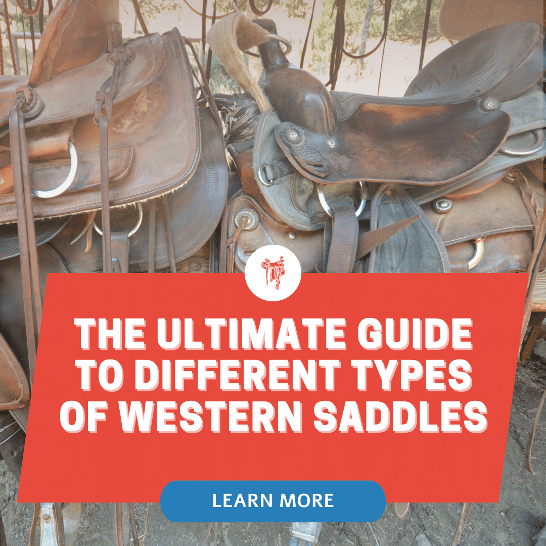 The Ultimate Guide to Different Types of Western Saddles: From Barrel ...