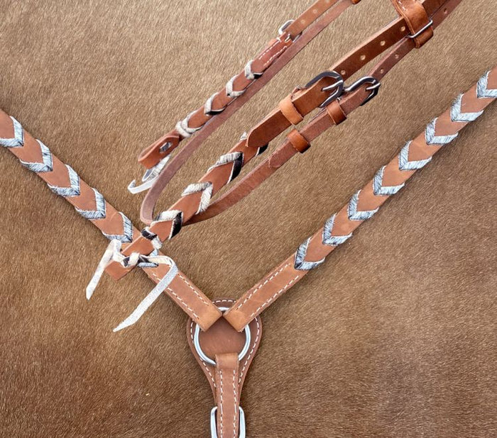 Showman® Argentina cow harness L eather browband headstall and breast ...